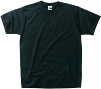 DM030 Standard T-shirts DALUC | ホペイロ